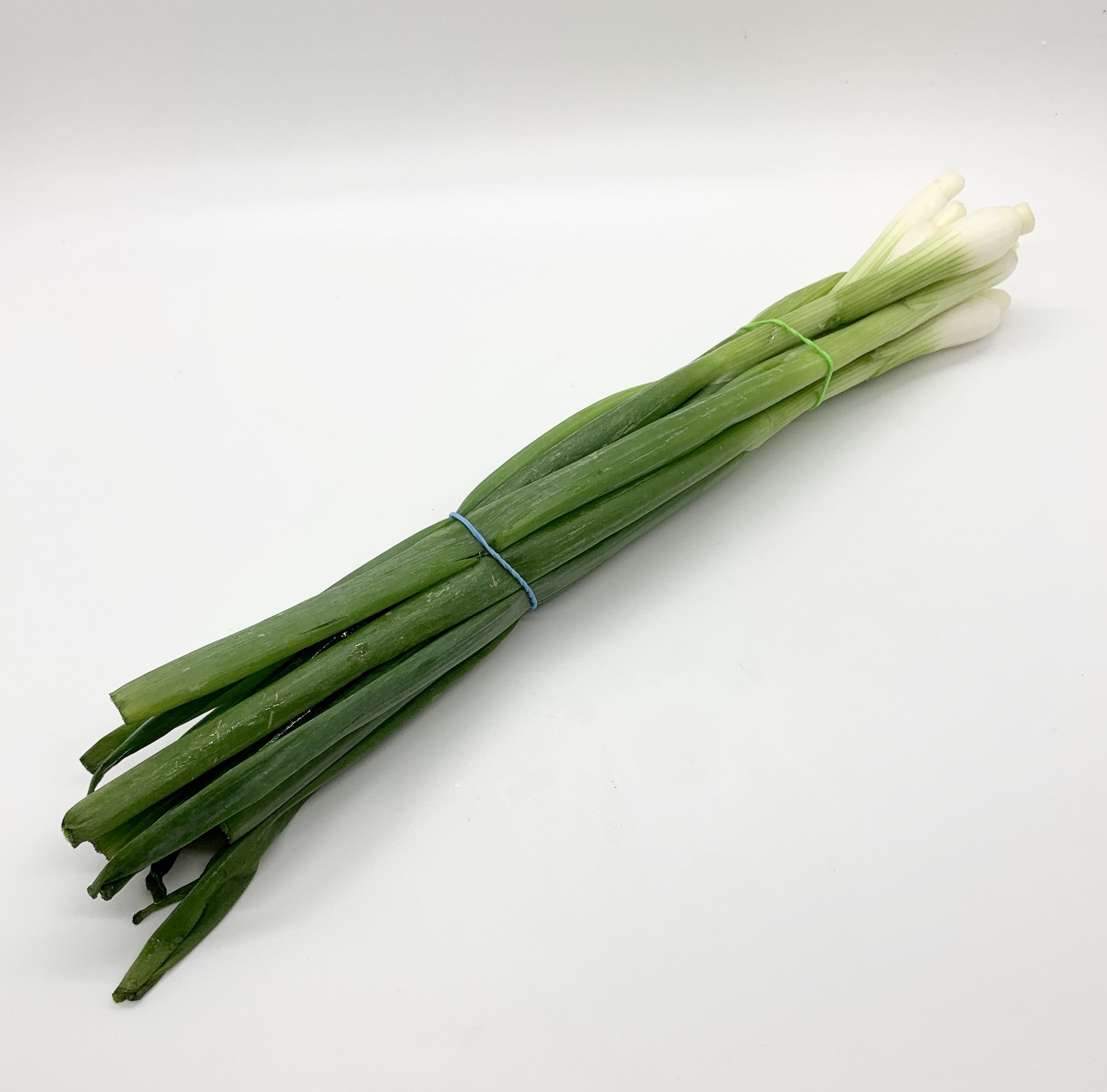 Escellion, Green Onions - Caridoor