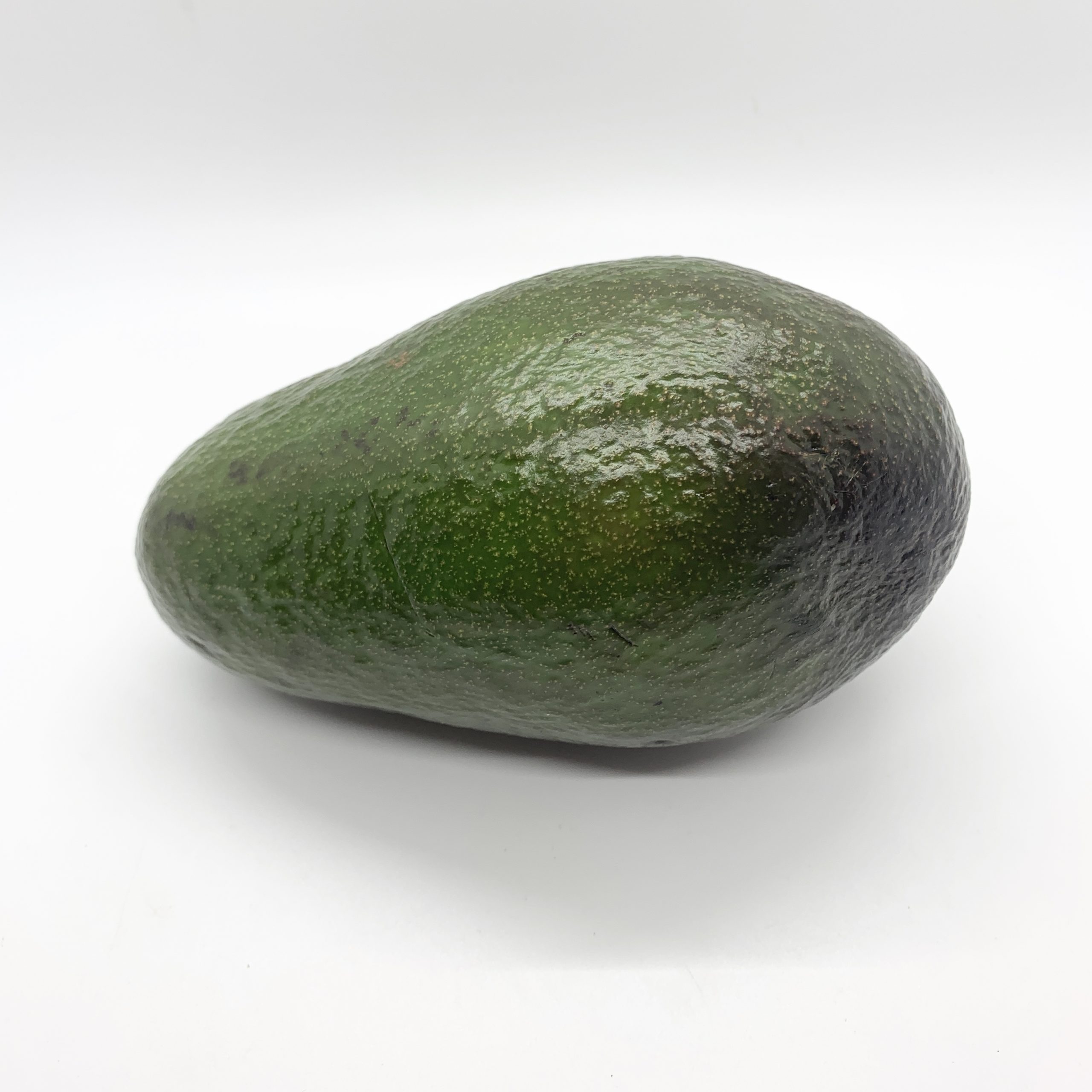 Avocado Pear - Caridoor